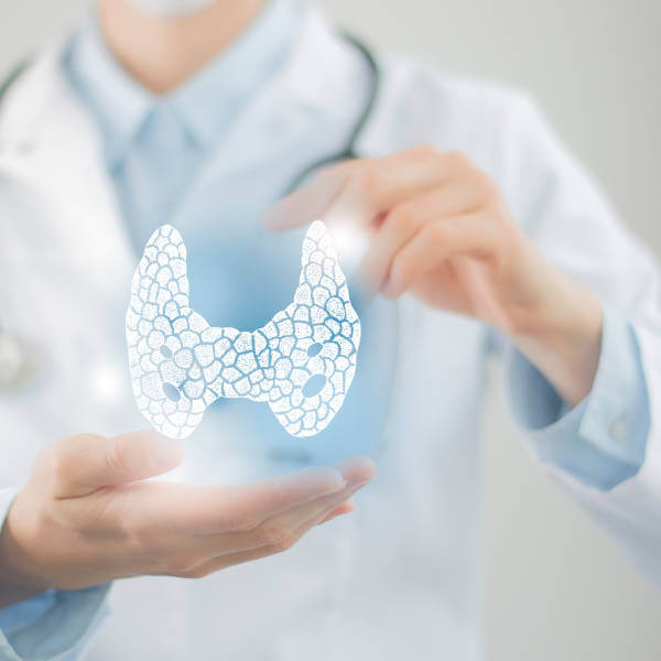 What the thyroid is and how it affects your health